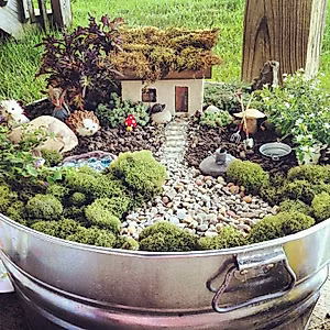 Touch of Nature Mini Fairy Garden Bucket, 1-Inch, Grey