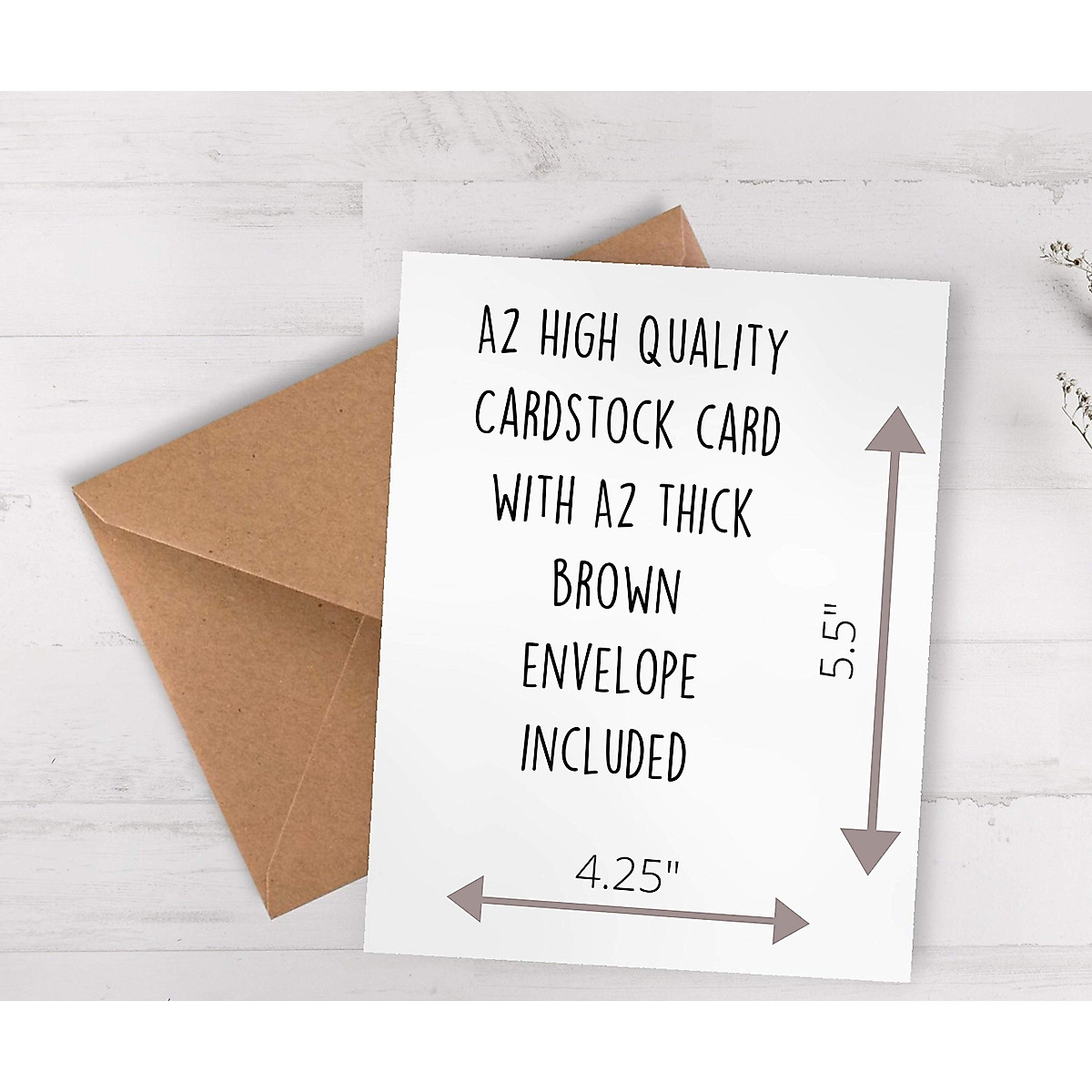 BALOR Birthday Card for Him - Schmidt Bday Card, Multicolor, 4.25-x-5.5-inch