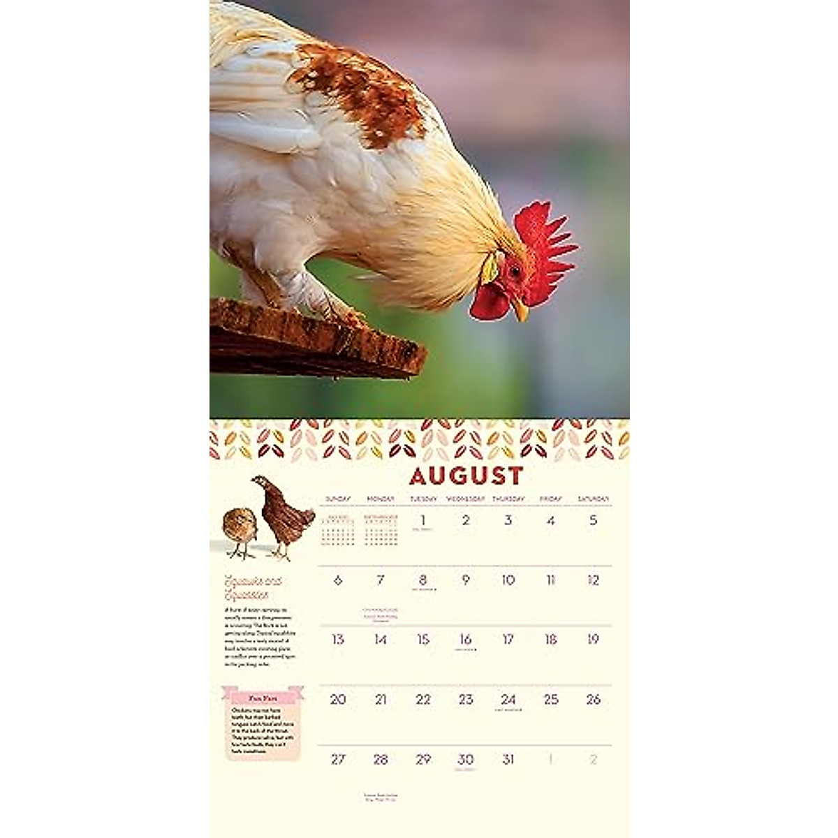 How to Speak Chicken Wall Calendar 2023: A Year of Chickens Doing What They Do & Saying What They Say