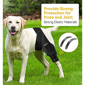 soundfuse Dog Knee Brace, Leg Brace for ACL with Cruciate Ligament Injury, Joint Pain and Muscle Sore, Adjustable Rear Support for Knee Cap Dislocation, Pet Knee Brace Recommended for Big Dog(Size: L)