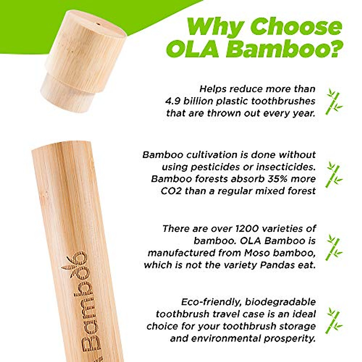OLA Bamboo - Bamboo Toothbrush Holder, Reusable Toothbrush Travel Case, Eco Travel Essentials