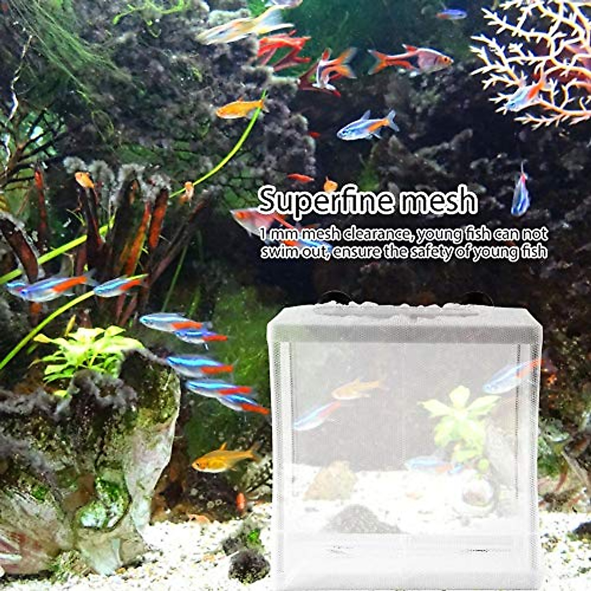 Incubator Breeder Aquarium Fish Tank Aquarium Fish Breeding Box, Isolation Mesh Box, Fish Breeding Incubator Multifunctional for Fish Tank