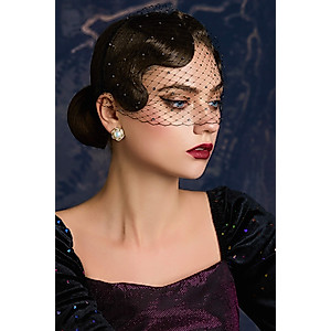 BABEYOND 1920s Flapper Fascinator Mesh Veil Headband Bridal Wedding Tea Party Fascinator Veil for Women