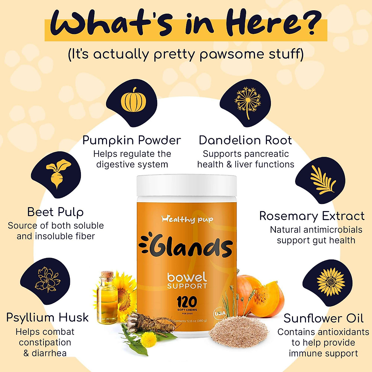 Glands Bowel Support - 120 Delicious Scoot Soft Chews for Scooting, Healthy Anal Glands, and Digestive Health - Made with Pumpkin Powder for Dogs