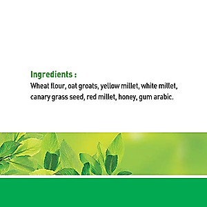 Living World Budgies Honey Treat Sticks, 2-Ounce