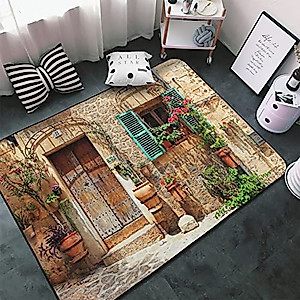 Soft Area Rug Non Slip Washable for Indoor,Streets of Old Mediterranean Towns Provence Landscape Flower Door Windows,Large Floor Carpets Doormat Covering Living Room Bedroom 4 x 5.3Ft