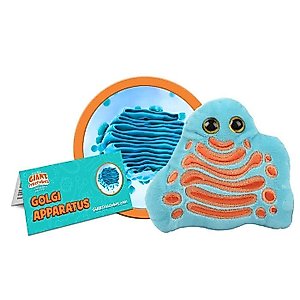 GIANTmicrobes Golgi Apparatus Plush – Learn About Cell Biology and Organelles with This Educational Gift for Family, Friends, Students, Educators, Scientists, and Anyone with a Healthy Sense of Humor