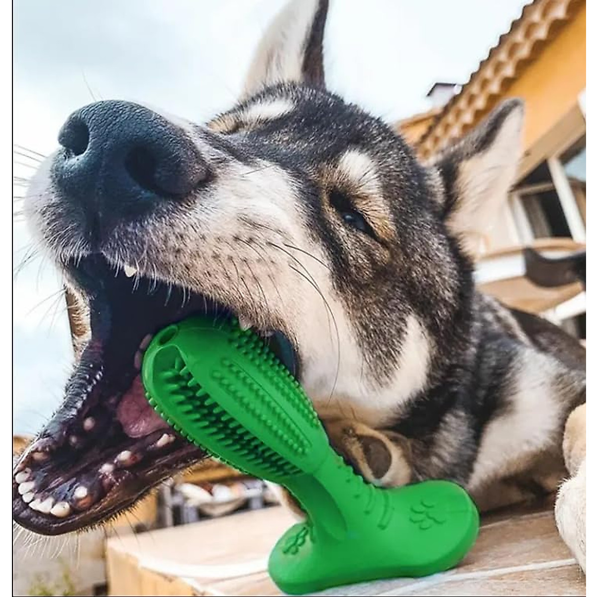 Dental and Treat Chew Sticks – Fresh Breath & Plaque Control – Peanut Butter Chew Toy - for Dogs, Pigs, Rabbits, or Other Pets - (Green)