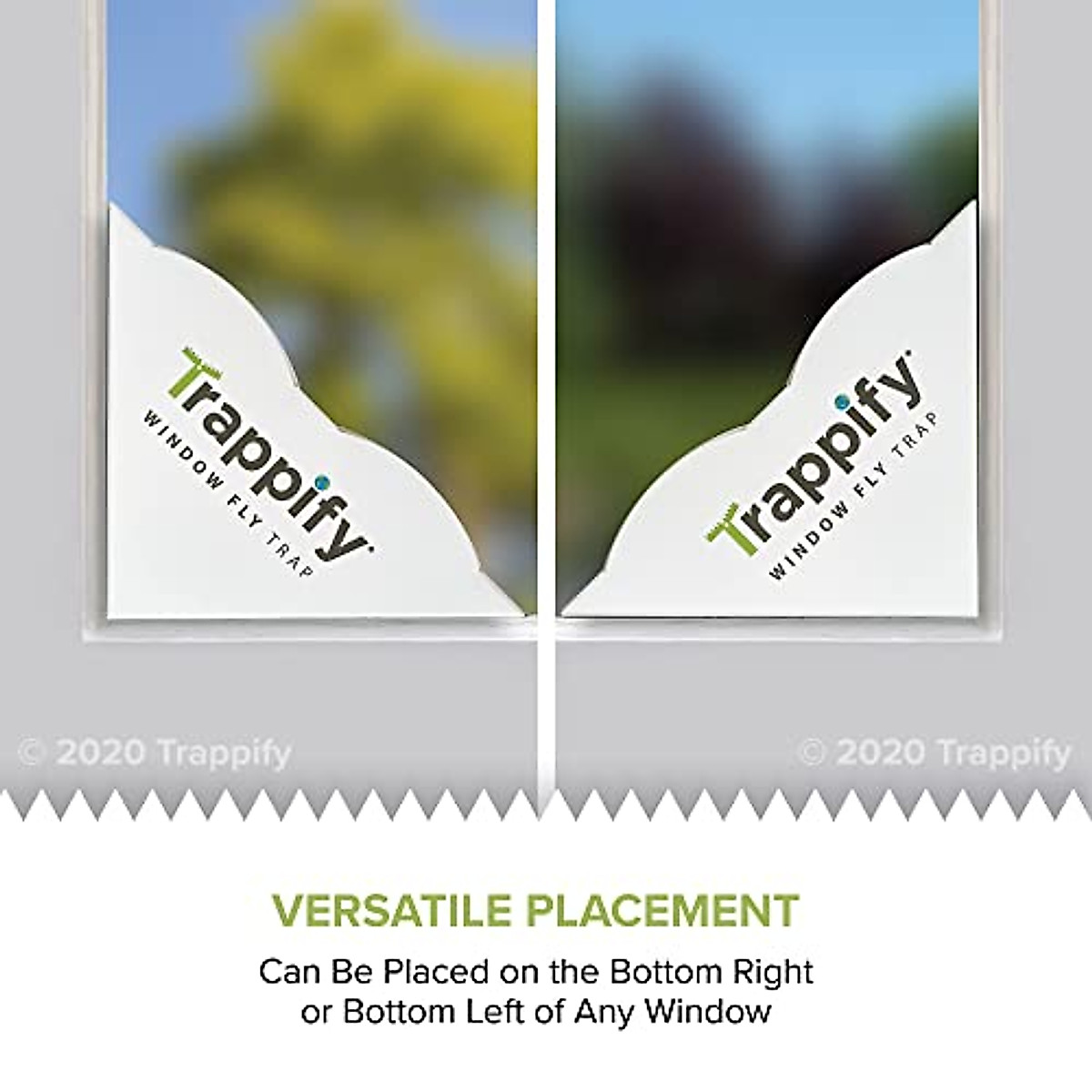 Trappify Window Fly Traps: House Window Fruit Fly Traps for Indoors, Gnat, & Other Flying Insect, Disposable Indoor Fly Trap with Extra Sticky Adhesive Strips - Inside Home Housefly & Bug Catchers (8)