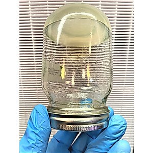 Cannabis Cloning Tissue Culture Media Pre Mixed - Ready to Use