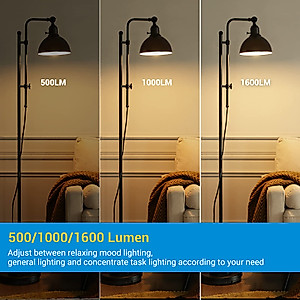 DEWENWILS LED 3 Way Light Bulbs, 40/60/100W Equivalent Three Way A19 LED Light Bulbs, E26 Medium Base 2700K Warm White Glow, 500/1000/1600LM Bright Light Bulbs, Non-dimmable, ETL Listed, 4-Pack