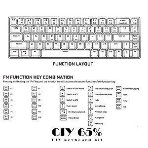 CIY GK68 Dual Mode Wireless Hotswap Tester Keyboard Kit, DIY 65%, Bluetooth 5.0/2.4G Wireless, Replaceable MX Switch 5Pin/3Pin, ABS Shell,Metal Positioning Plate,Sound Insulation Mat(Purple Hyaline)