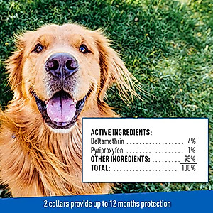 Adams Flea & Tick Collar Plus for Dogs & Puppies |2 Pack |12-Month Protection |One Size Fits All Dogs & Puppies 12 Weeks and Older |Kills Fleas and Ticks |Repels Mosquitoes (excluding California)