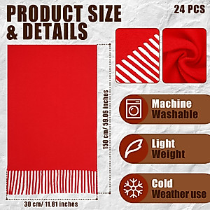 Kigeli 24 Pack Winter Scarves Solid Soft Warm Scarf with Fringe Men Women Cold Weather Scarves Wraps Warm Winter Scarf Bulk (Red)