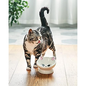 Raised Cat Food Bowl Ceramic 15° Tilted Cat Food Bowls Protect Cat's Spine Anti Vomiting Backflow Prevention Cat Bowls for Adult Cats, Kitten, and Small Dogs, Pink