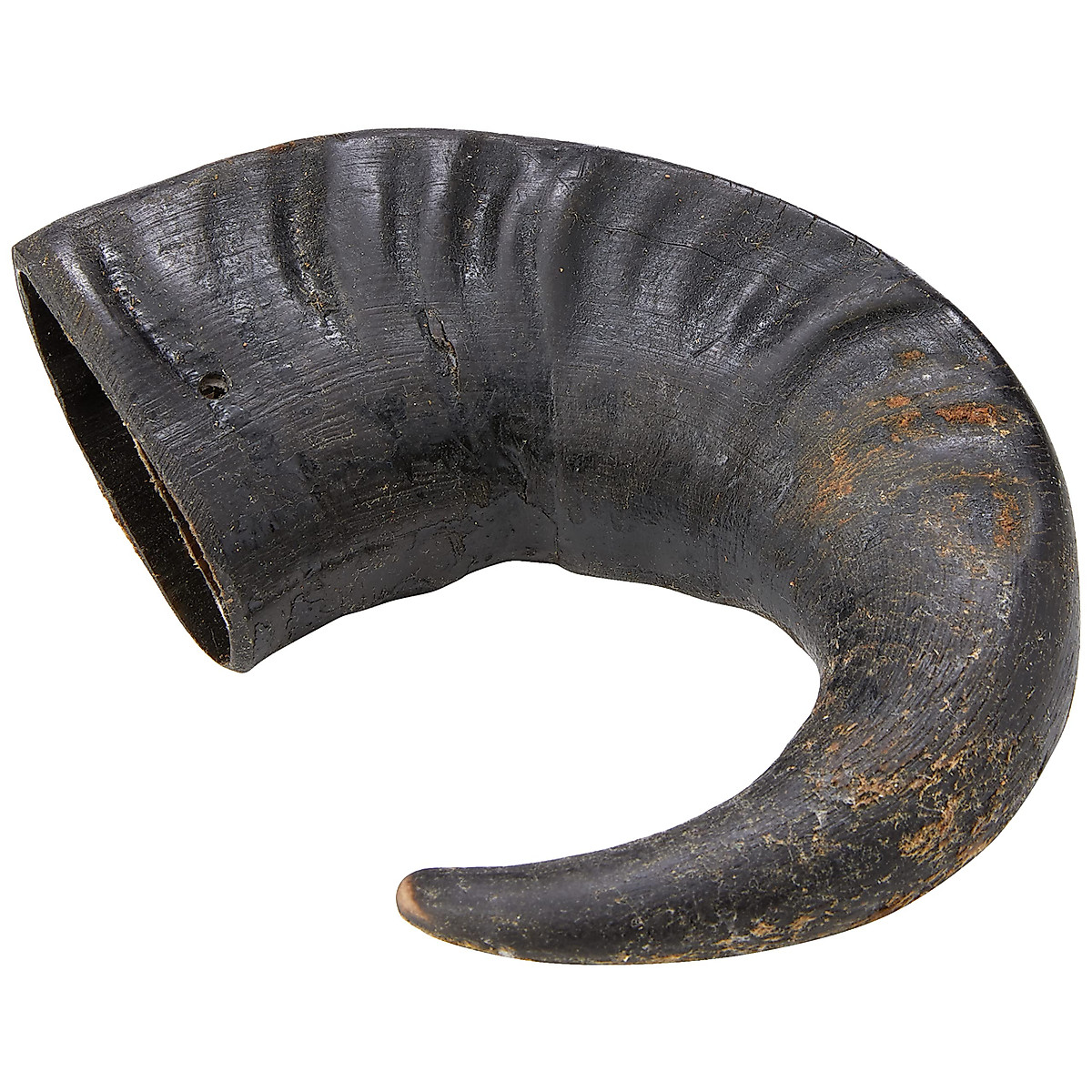 Hollings Buffalo Horn Dog chew Treat, Jumbo