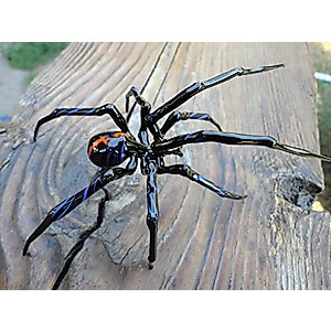 Spider - lampworked lifelike glass arachnid spider figurine, glass insect, Art Glass Spider, blown glass figurine Spider, glass insects