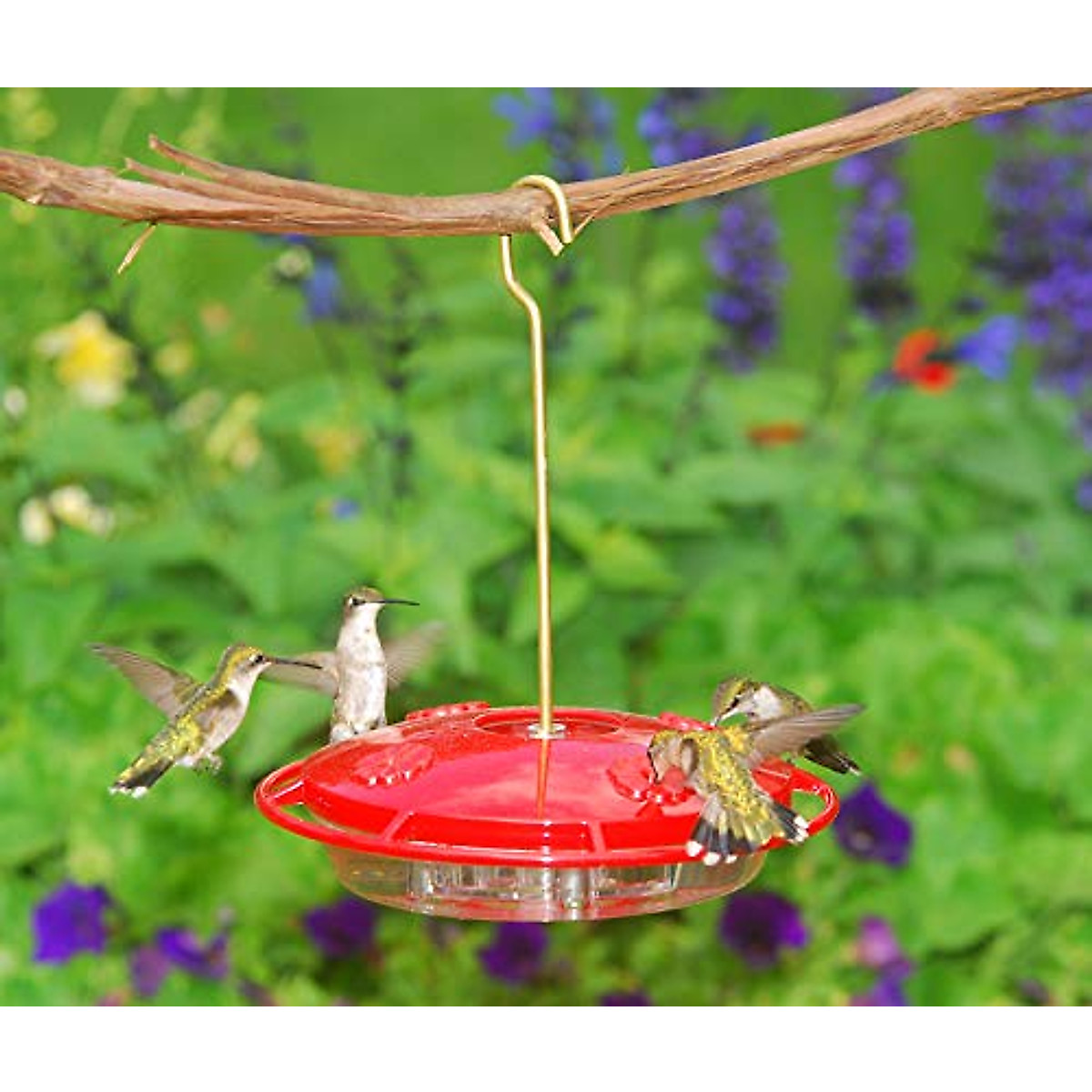 Aspects 367 Hummzinger Ultra Hummingbird Feeder, 12-Ounce,4 Feeding,Red