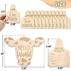 Huray Rayho Cow Baby Monthly Milestone Cards Rustic Wooden Herd Cattle Newborn Photography Props to Record Your Baby´s Growth, Gift Set of 14 Reversible Cards for Pregnancy and Baby Shower
