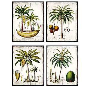 Palm Tree Decor - Tropical Wall Decor for Kitchen, Dining Room, Living Room - Beach House Wall Decor - Vintage Rustic Boho Home Decoration or Gift for Women, Men - 8x10 Picture Sign Print Set