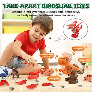 skirtoy DIY Building Dinosaur Toys for Kids, Take Apart Dinosaur Transport Truck with Playmat, 2 Dinosaur Toy, 4 Dino Figures, 2 Tools, Dinosaur Construction Playset Birthday Gift for Boy Girl