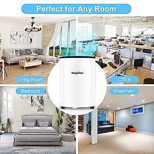 Keylitos 12L Day Dehumidifiers for Home and Basements,Quiet Dehumidifier with Drain Hose, with Digital Humidity Display, Auto or Manual Drainage for Large Room, Garage, Bedroom, Bathroom