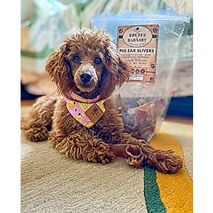 BRUTUS & BARNABY Pig Ear Slivers - Thick Cut, All Natural Dog Treat, Healthy Pure Pork Ear, Easily Digested, Best Gift for Large & Small Dogs (1 lb)