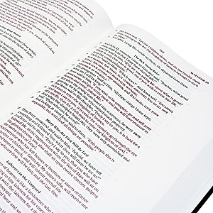 LSB Large Print Wide Margin Black Hardcover