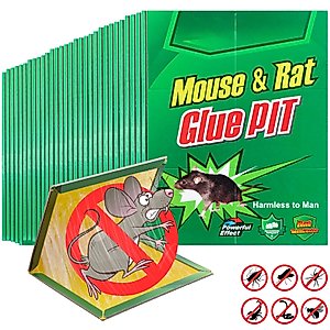 30 Pcs Mouse Traps Mouse Glue Traps with Enhanced Stickiness Sticky Traps for Mice, Rats Sticky Pads Mouse Glue Boards Pest Control Traps for House Indoor Outdoor Easy to Set (30 Pcs, 9.4'' x 6.6'')