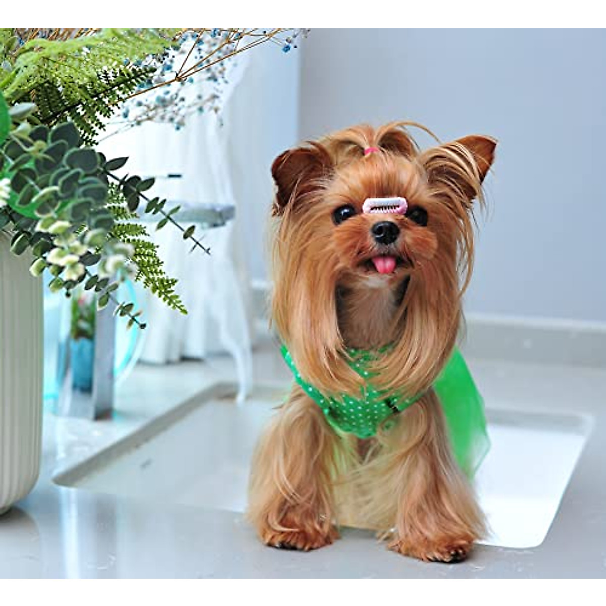 MSNFOASM 2Pack Pet Dog Tutu Skirt,Dog Tulle Spliced with Bow-Knot Dress for Small Girl Dogs Cats(Green&Pink 2XS)