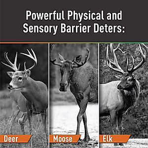 Messina Wildlife RBW-132 3/4-Inch by 1320-Foot Deer Repellent White Ribbon