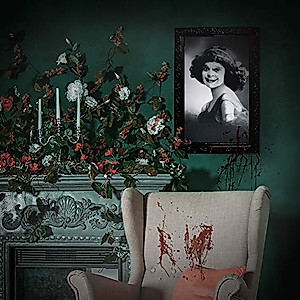 YBB 3 Pack Halloween Moving Picture Frame, 3D Changing Face Horror Portrait Scary Decoration for Home Halloween Party, Castle, Haunted House Decor