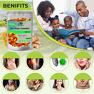 Sea Moss Gummies - Irish sea Moss raw Organic, Bladderwrack, Burdock Root. Contains Sea Moss Gel and Powder. Superfoods for Vegan, Keto and Dr Sebi Diet. Immune Boosting (1, ORIGINAL)
