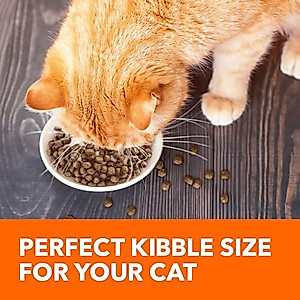 IAMS Proactive Health Adult Healthy Dry Cat Food with Salmon, 7 lb. Bag