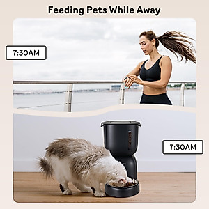 Automatic Cat Feeder and Cat Water Dispenser FW1, Wire or Battery Cat Food Dispenser Timer Pet Feeder - Locking Lid, Desiccant Bag, Programmable Portion Control, 4 Daily Meals, 10s Voice Recorder