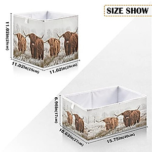 Highland Cow Storage Baskets for Shelves Foldable Collapsible Storage Box Bins with Waterproof Fabric Closet Organizers for Pantry Clothes Storage Toys, Books, Home, Office,16 x 11inch