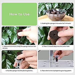 moistenland 50-Pack Compatible Seed Pod Sponges, Seed Starter Sponge Pods Replacements, Root Growth Sponge Plugs for Hydroponic Indoor Garden kit Seed Starting (Seeds Not Included) (50)