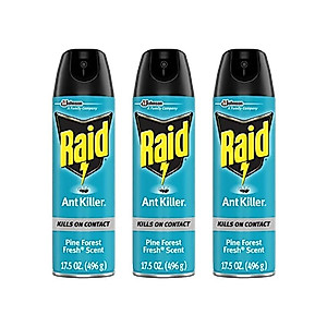 Raid Ant Killer Spray Pine Forest 17.5 Ounce (Pack of 3)