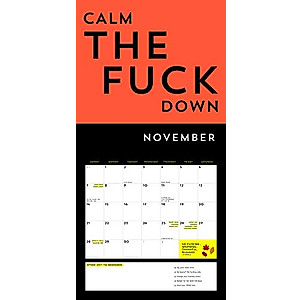 A F*cking 2021 Calendar: Get Your Sh*t Together This Year - Includes Stickers! (Funny Monthly Calendar, White Elephant Gag Gift for Adults)