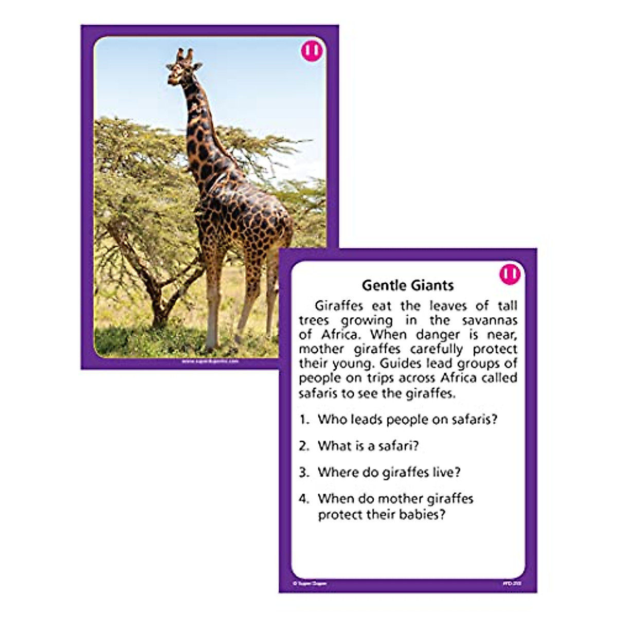 Super Duper Publications | Photo Auditory Memory for Short Stories Fun Deck Flash Cards | Educational Learning Resource for Children