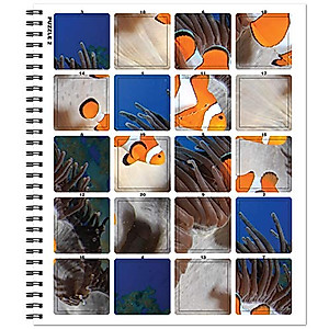 Brain Games - Sticker by Number: Ocean Life (Easy - Square Stickers): Create Beautiful Art With Easy to Use Sticker Fun!