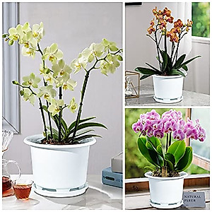 Meshpot 8 Inch Orchid Pots with Holes and Saucers,Double Layer Plastic Large Orchid Planter Pot,Flower Pots for Indoor Outdoor Flower Plants,Orchids,Herbs,Snake Plants and Succulents