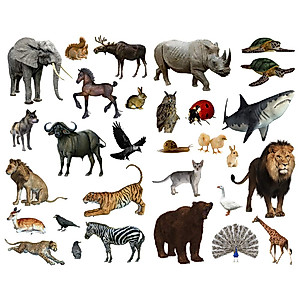 Seasonstorm Zoo Animal Precut Cute Aesthetic Diary Travel Paper Junk Journal Stickers Scrapbooking Stationery Sticker Flakes Art Supplies (PK393)