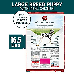 Purina ONE Plus Large Breed Puppy Food Dry Formula - 16.5 lb. Bag