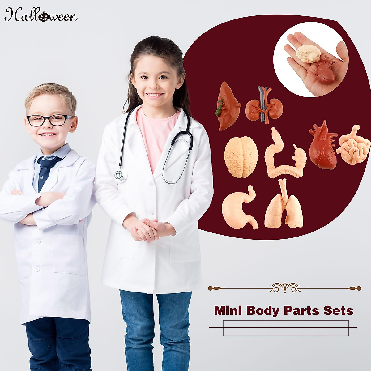 SGBETTER 16 Pack Human Organ Model Human Anatomy Toy Halloween Fake Simulation Human Body Parts for Kids Physiology Study Tools Halloween Decor, 8 Styles