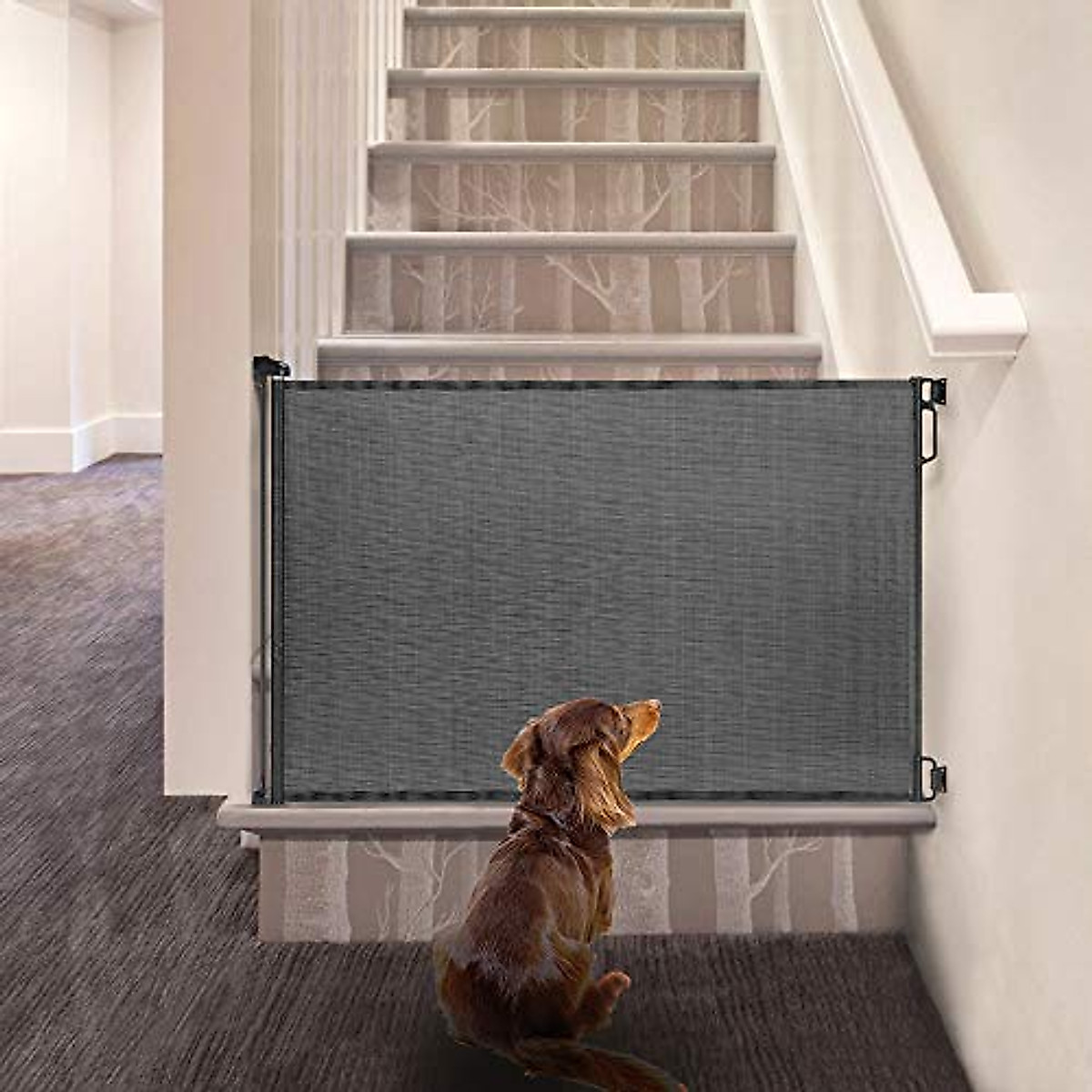 EasyBaby Retractable Baby Gate, 33" Tall, Extends up to 55'' Wide, Black/Child Safety Baby Gates, Pet Retractable Gates for Stairs, Doorways, Hallways, Indoor and Outdoor