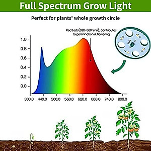 Seed Starter Tray, 5-Pack Seed Starter Tray with Grow Light, Seedling Starter Trays, Seed Starting Trays, Seed Starter Kit, Plant Starter Kit, Timer, Humidity Dome, Dimmable. (Green)