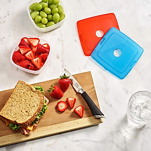 Fit & Fresh Cool Slim Reusable Ice Packs Boxes, Lunch Bags and Coolers, Set of 4, Multicolored, 4 Pack