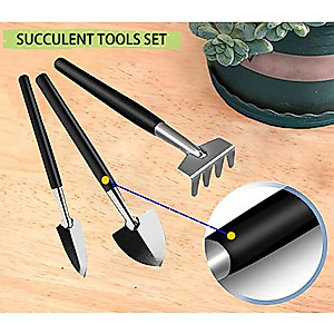 Wobodan 12 Pcs Succulent Tools Set Mini Transplanting Garden Tools Kit for Indoor Gardening Flower Pot Cactus Care