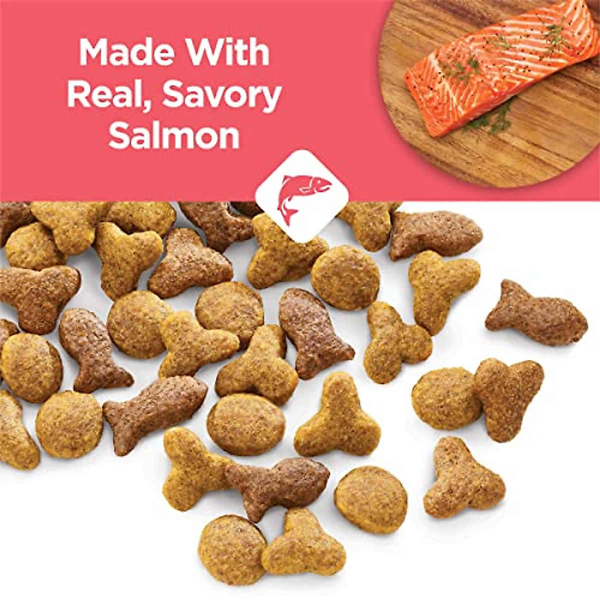 Cat Chow Complete High Protein with Salmon Cat Food Dry Formula - (4 Packs of 4) 3.15 lb. Bags